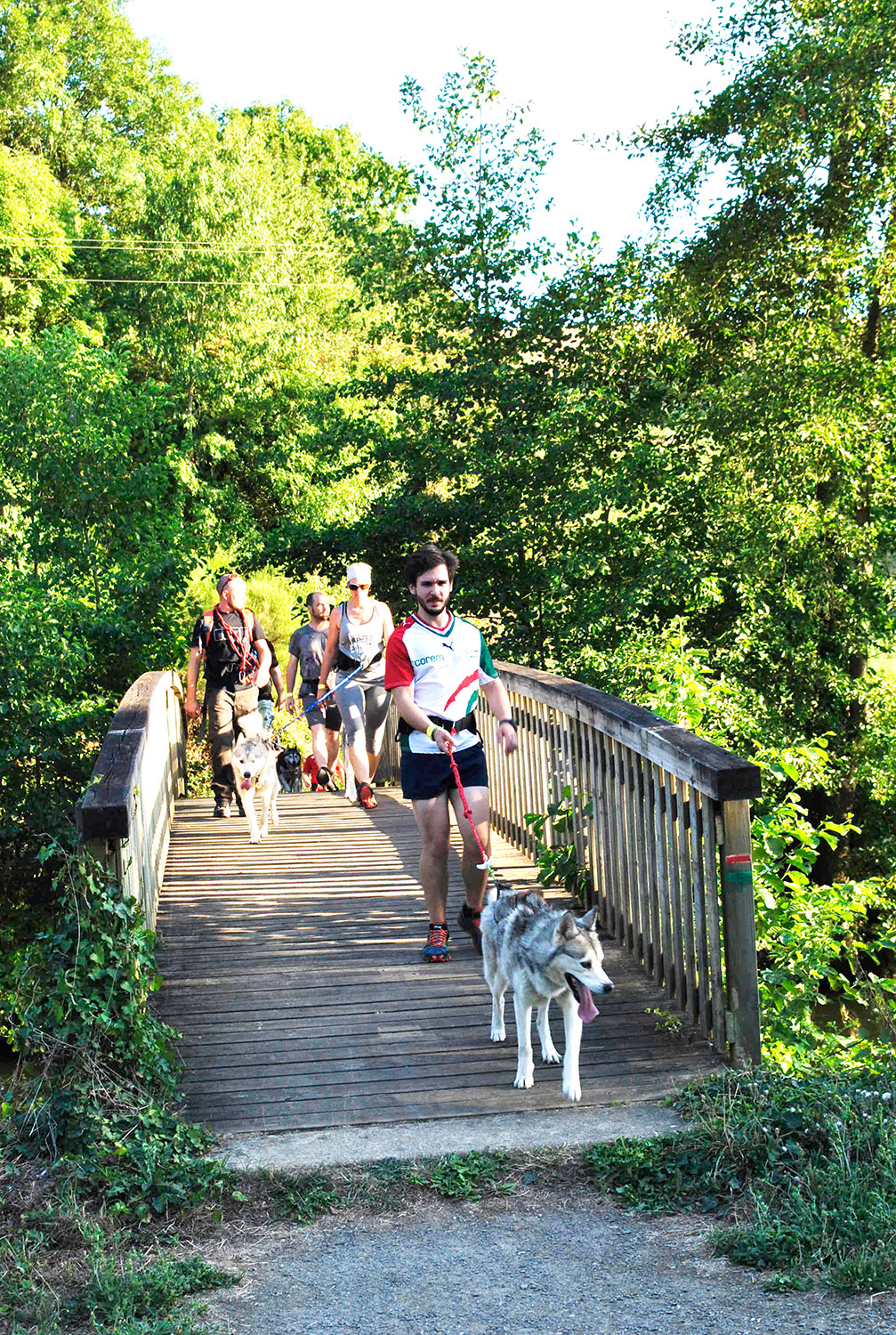 Cani-Rando récréative - Sled Dog Ride